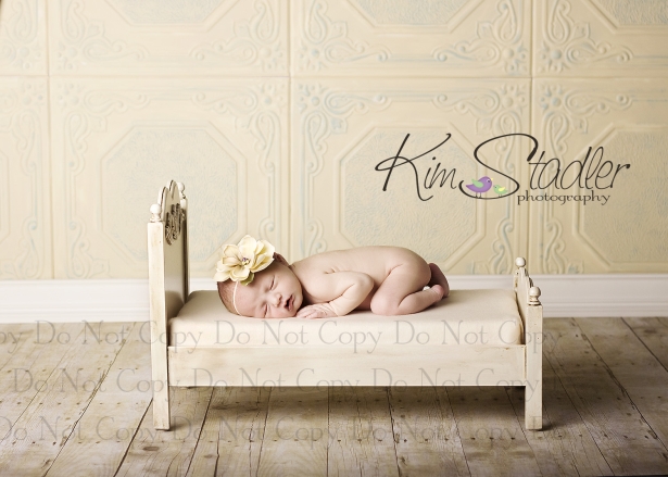 Best Photography Backdrops Contest 2011